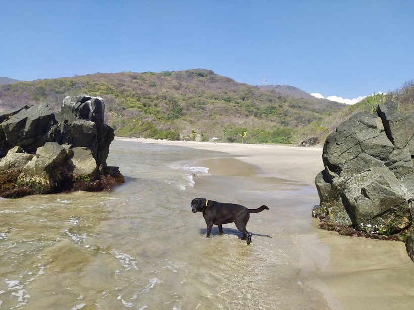 Playa La Majahua: The not-so-secret secret beach – Zihua Travels