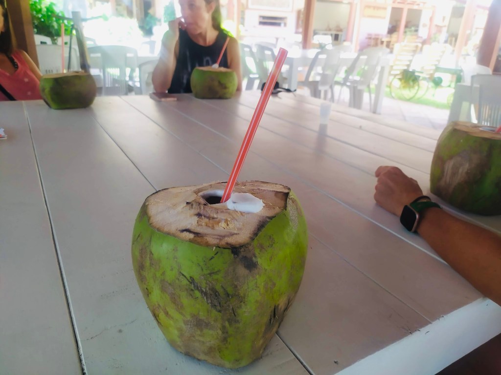 Visiting the Coconut Museum – Zihua Travels